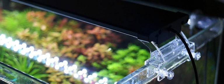 What's the Best LED Aquarium Lighting? ???? Our Top 10 Picks!