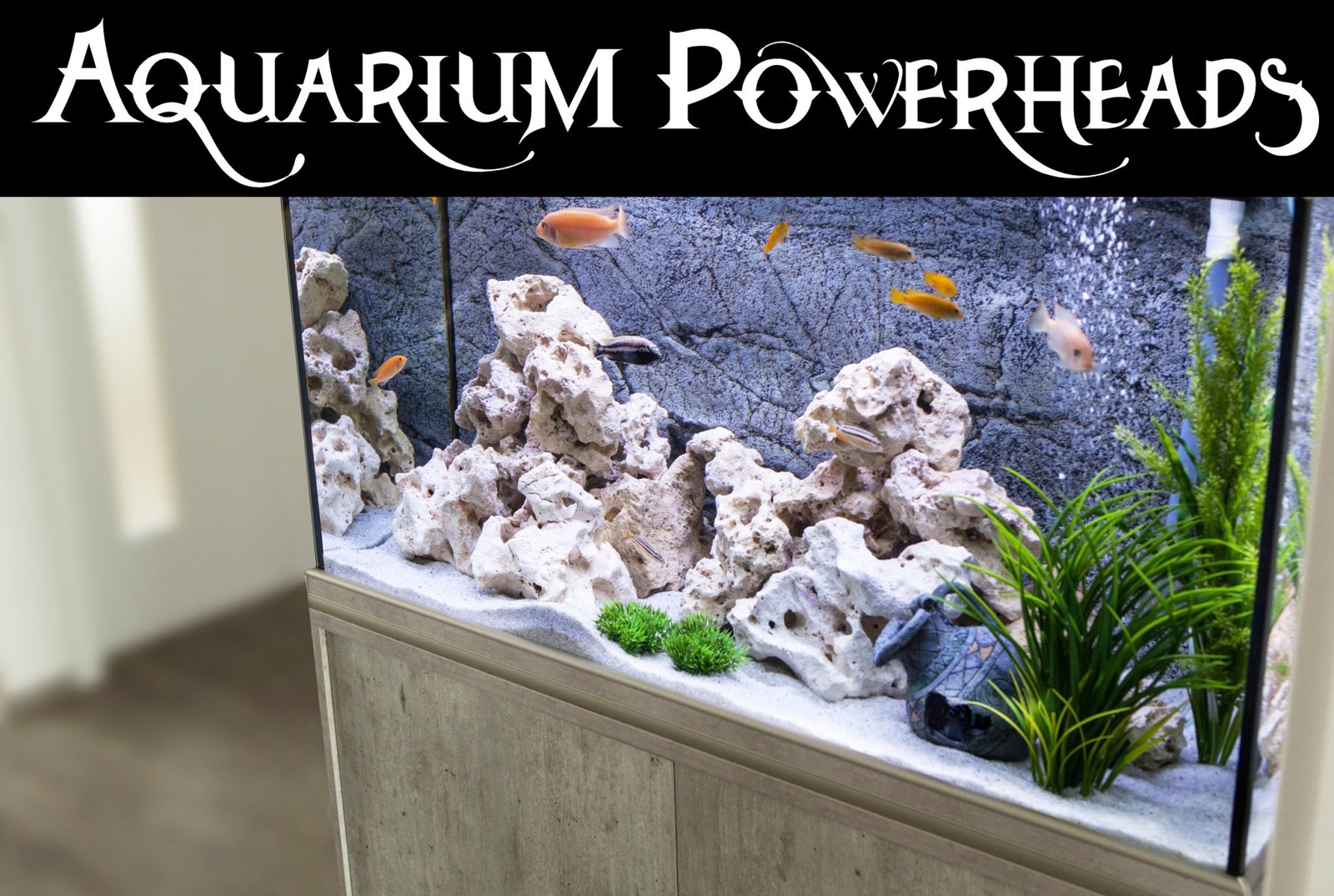 Best Aquarium Powerheads – Reviews & FAQ – Fish Tank Setups
