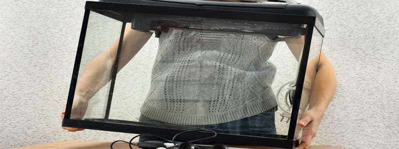 What Is a Fish Quarantine Tank